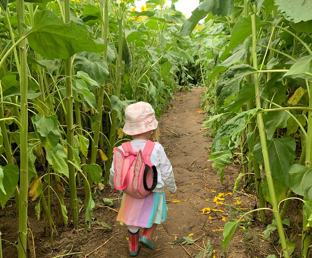 Dear Clara, a letter to the future you | by Danielle Stone | Dec, 2023 ...