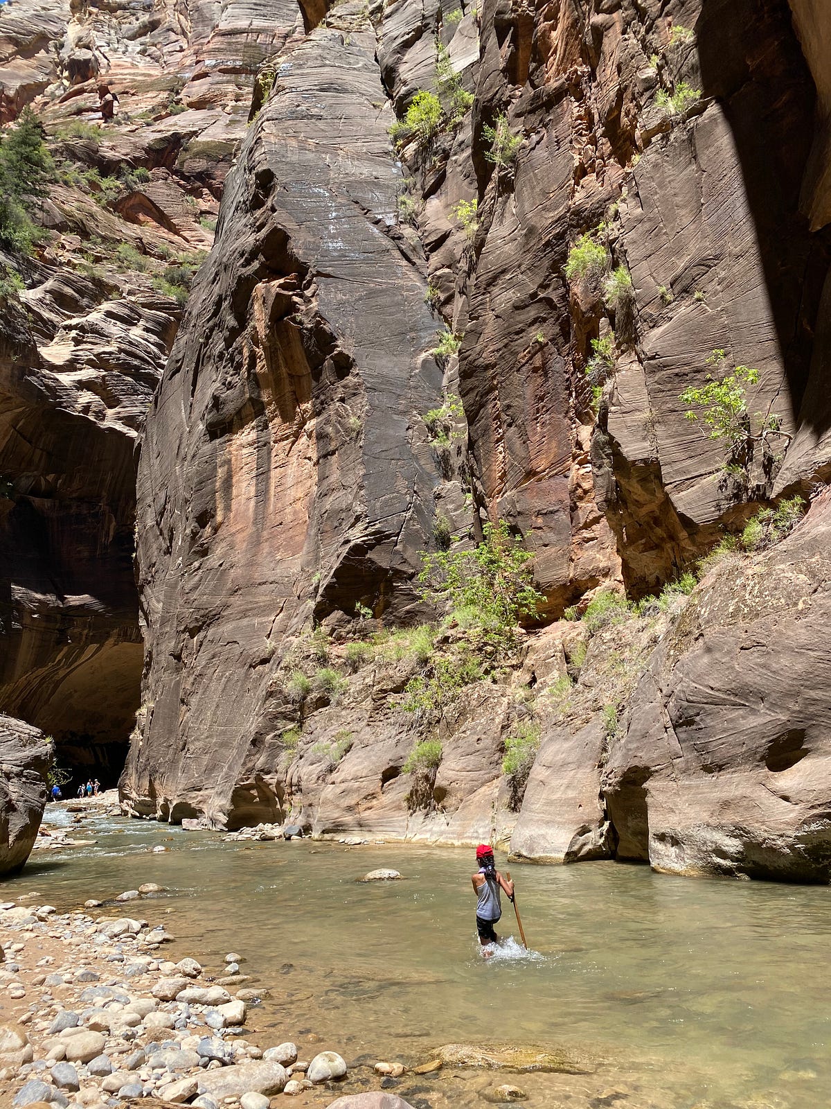 Day 24: Zion National Park, Utah. We arrived at our destination… | by Leya Shah | Medium