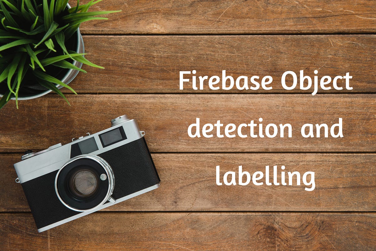 Firebase Series | Blog 8 | Firebase Object Detection and Labelling: Detect Objects and ...