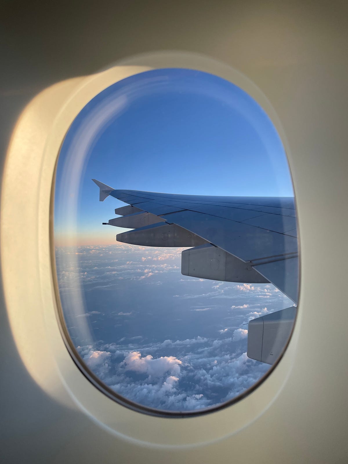 My reality of living abroad. Throughout my life, I have dedicated… | by ...