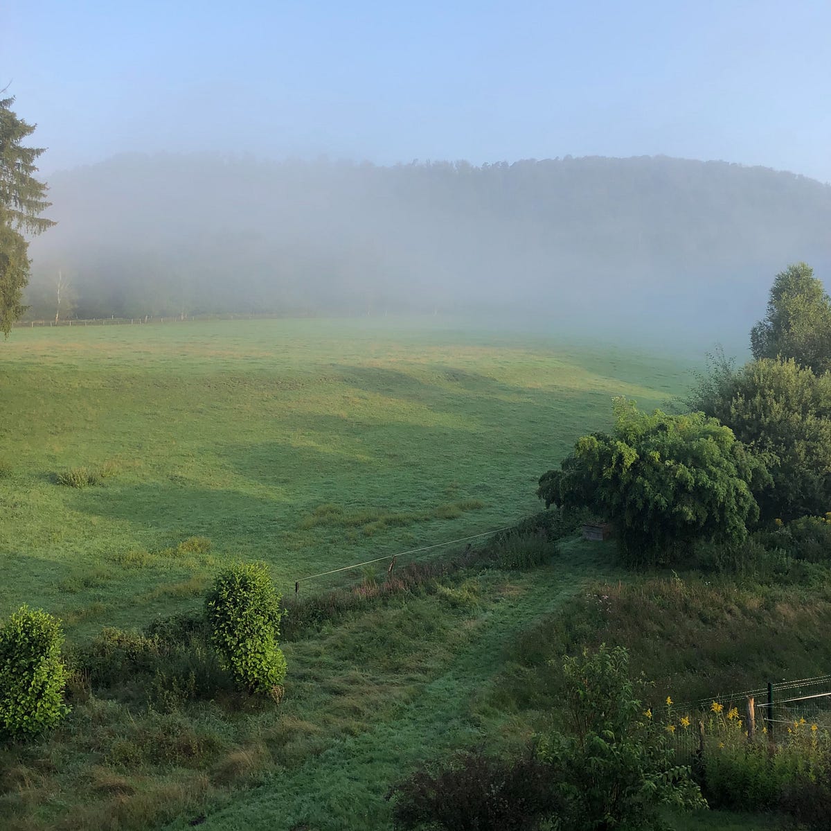 Mind Traveling. My good friend lives in France. And… | by Birgit ...