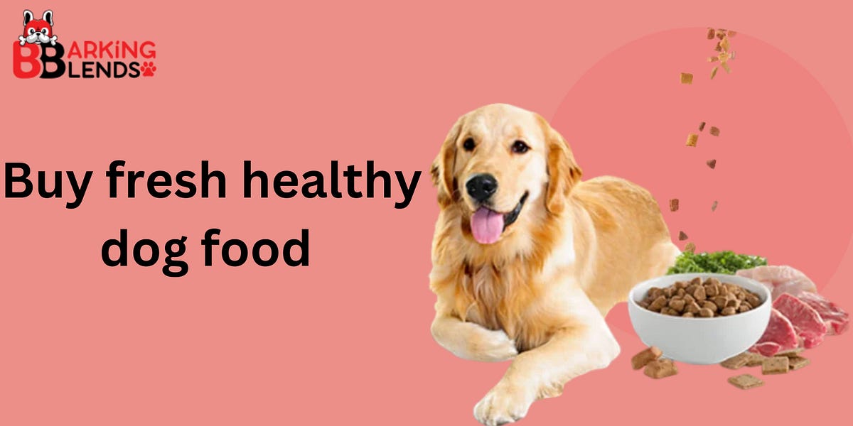 Top 5 Reasons Why Barking Blends is Your Dog’s Ticket to Fresh, Healthy ...