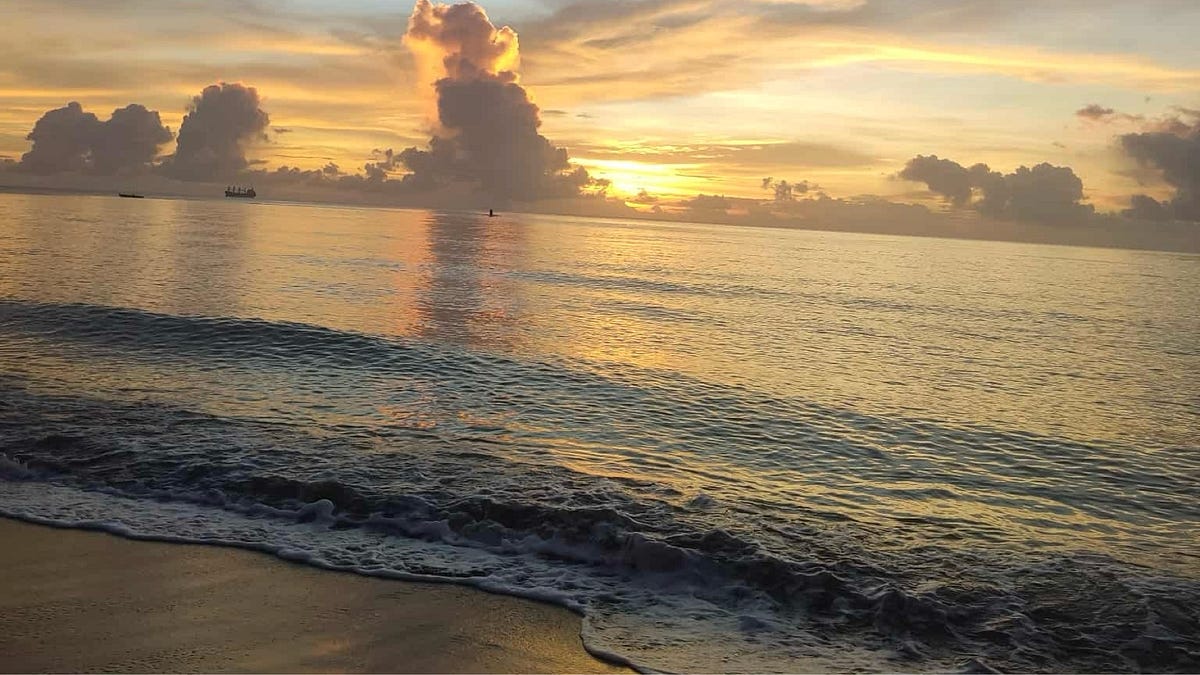 “a year full of love” | by Xanthea | Jan, 2026 | Medium