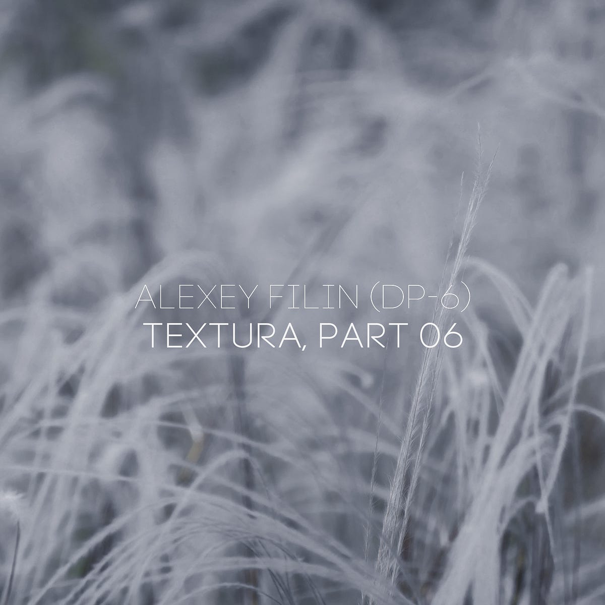 Alexey Filin (DP-6) — Textura, part 06 - DP-6 Records - Medium