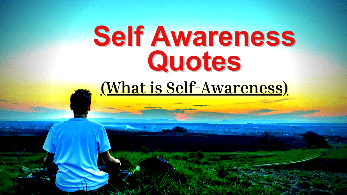 Self Awareness Quotes