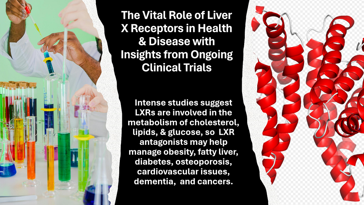 LXRs: Why Liver X Receptors Take Center Stage for Health Research with ...