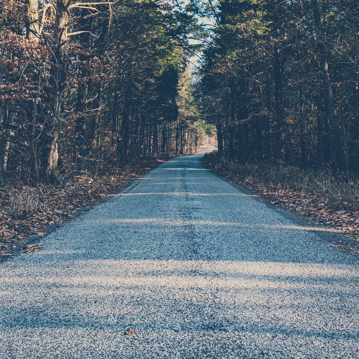 Mindfulness.. Since my last post, there has been a… | by Tim Bindner | Medium
