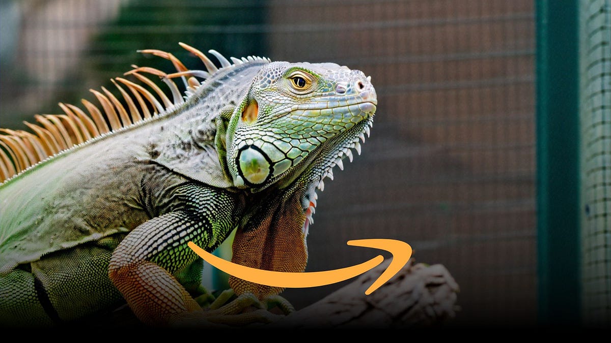 Amazon Finally Releases It’s First AI Image Generator | by Jim Clyde ...