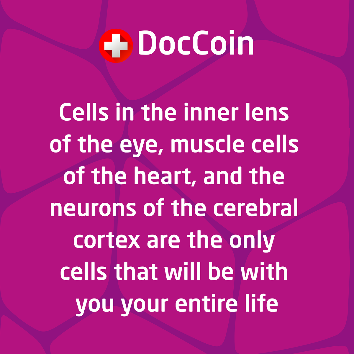 DocCoin. #DocCoin #telehealth #telemedicine… | by Doc Coin | Medium