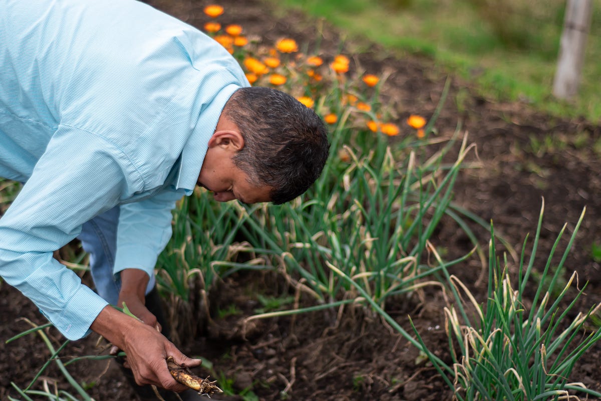 Planting the Seeds of Happiness: The Benefits of Gardening for Your ...