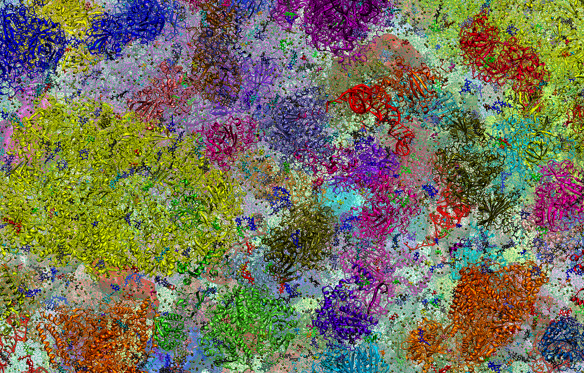 Virtual cells. A computer simulation of part of a… | by eLife | Life’s ...