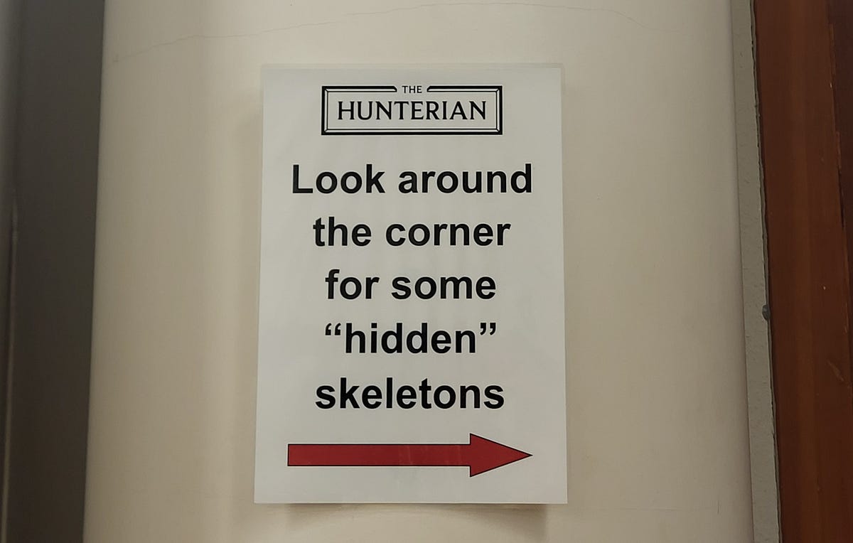 Incomplete thoughts on incomplete skeletons | by Carissa Chew | Medium