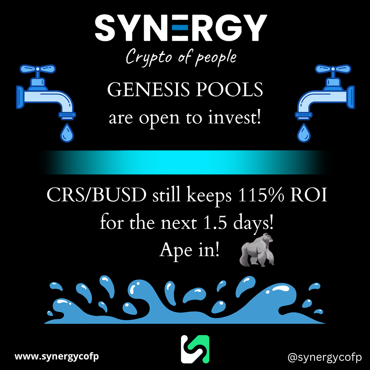 Synergy Genesis Pools - SYNERGYCOFP - Medium