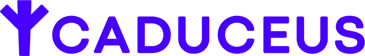 Caduceus Protocol: 2024 Roadmap. An overview of our upcoming milestones ...