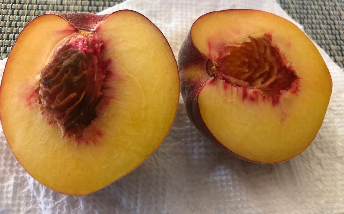 The Family Garden — The Peach Tree | by Peter Sassi | Medium