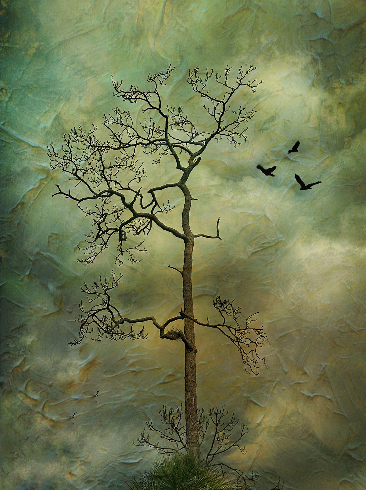 The Strength of the Tree - Blue Insights - Medium
