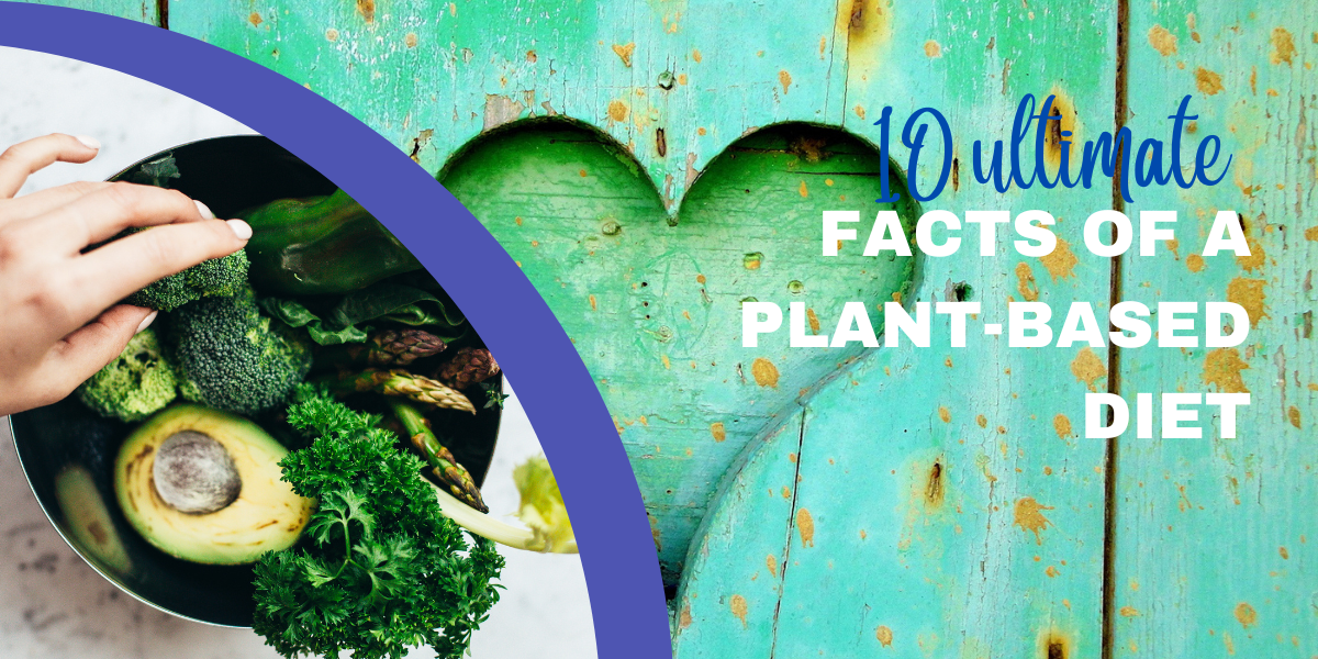 10 Ultimate Facts of Plant-Based Diets | by Em Easy Life | Medium