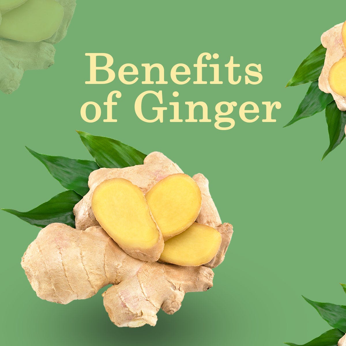 Amazing Facts About Ginger Herb. Ginger is a flowering plant that is ...