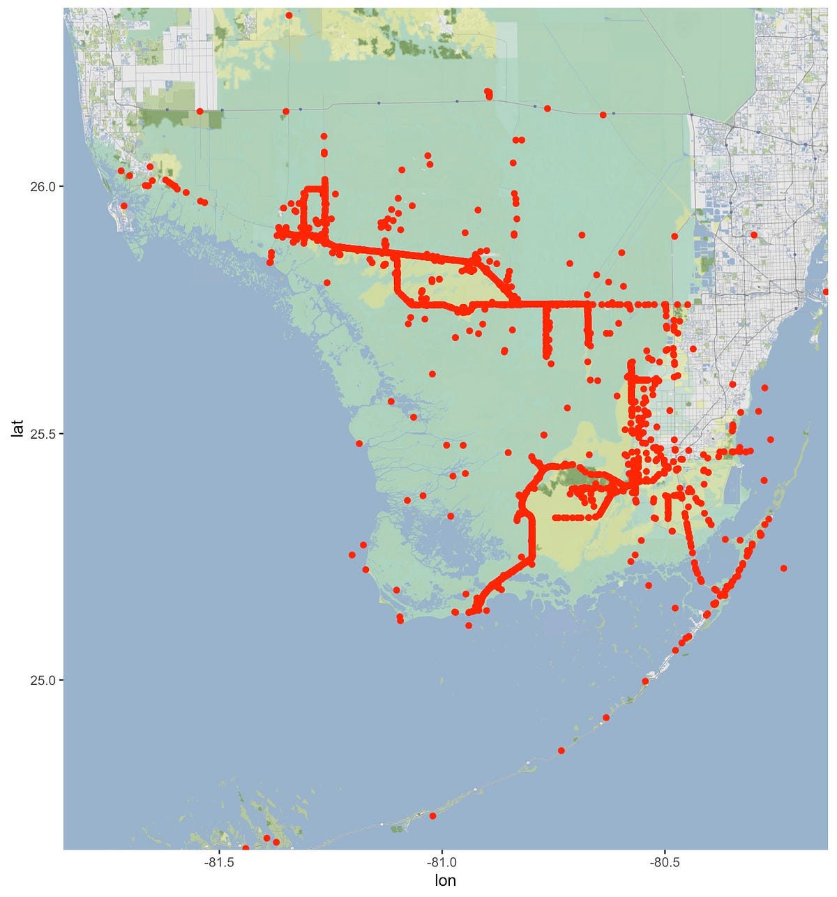 The Burmese Python in Florida. by Joshua C. Craig for Melanie Walsh ...