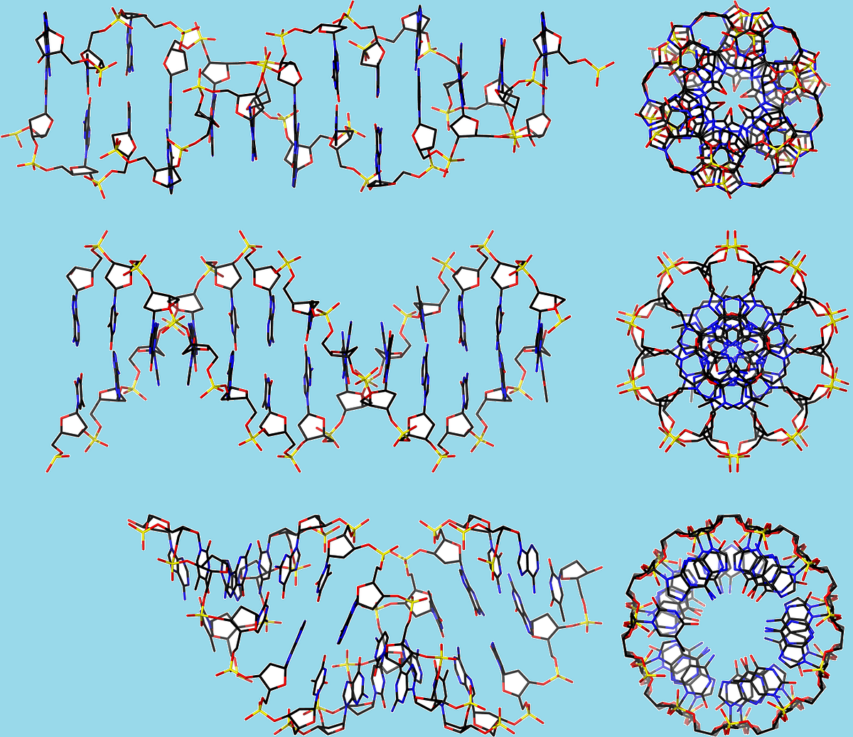 Reimagining Physics — Part 7. Nature evolves through competition and ...