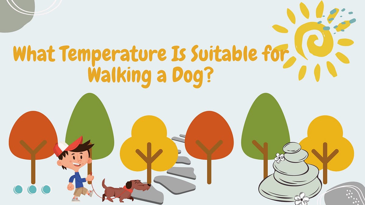 What Temperature Is Suitable for Walking a Dog? | by LUCAS ORDAYA | Medium