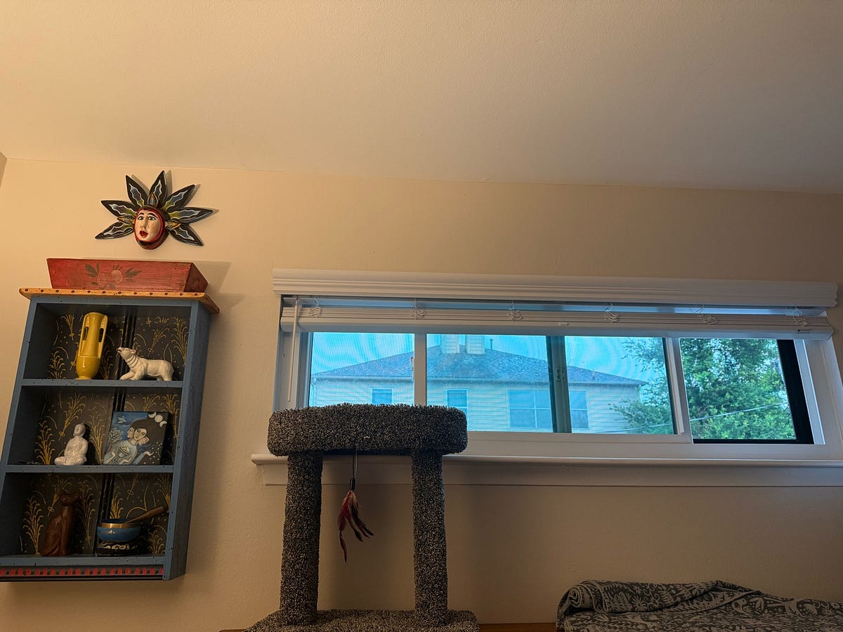 The Little Window. There’s one little window in my small… | by Kem Kemp ...