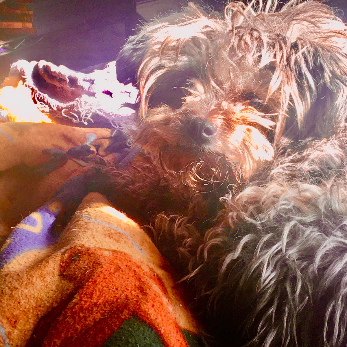 __ Timothy O’ Neill @Medium - kurt gasbarra - Medium