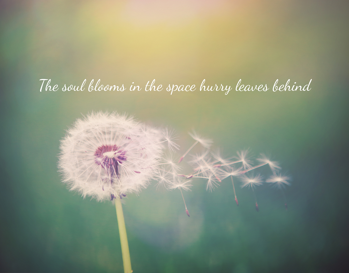 The Healing Art of Waiting: Why Patience Is Good for Your Health | by ...