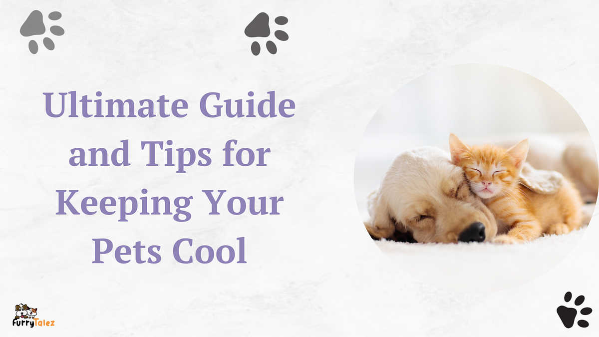 Ultimate Guide and Tips For Keeping Your Pets Cool - Nikita - Medium
