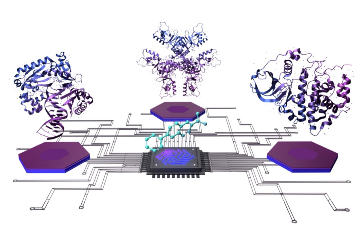 Undruggable targets: the major challenge for modern drug discovery | by ...