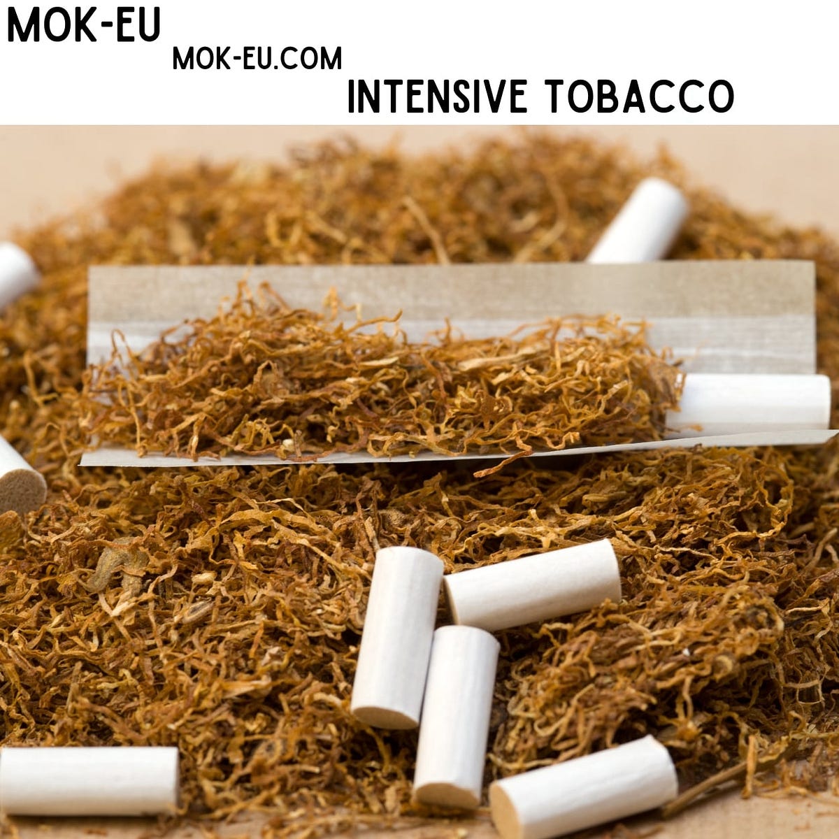 Smokey Seduction: Ignite Your Senses with Intensive Tobacco! | by Davidturner | Mar, 2024 | Medium