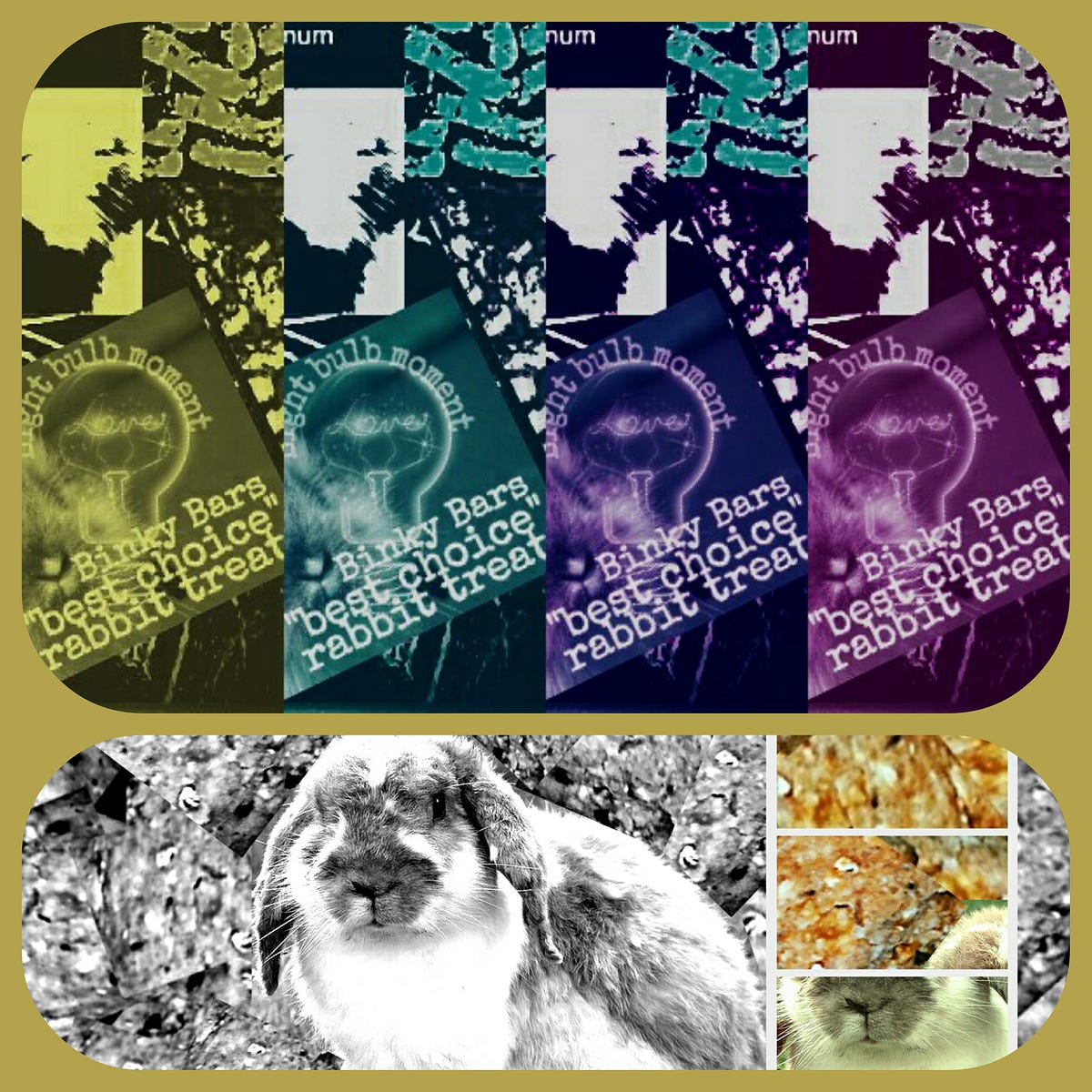 #binkybars #rabbit #treat #innovative | by Binky Bars Ltd - about.me ...