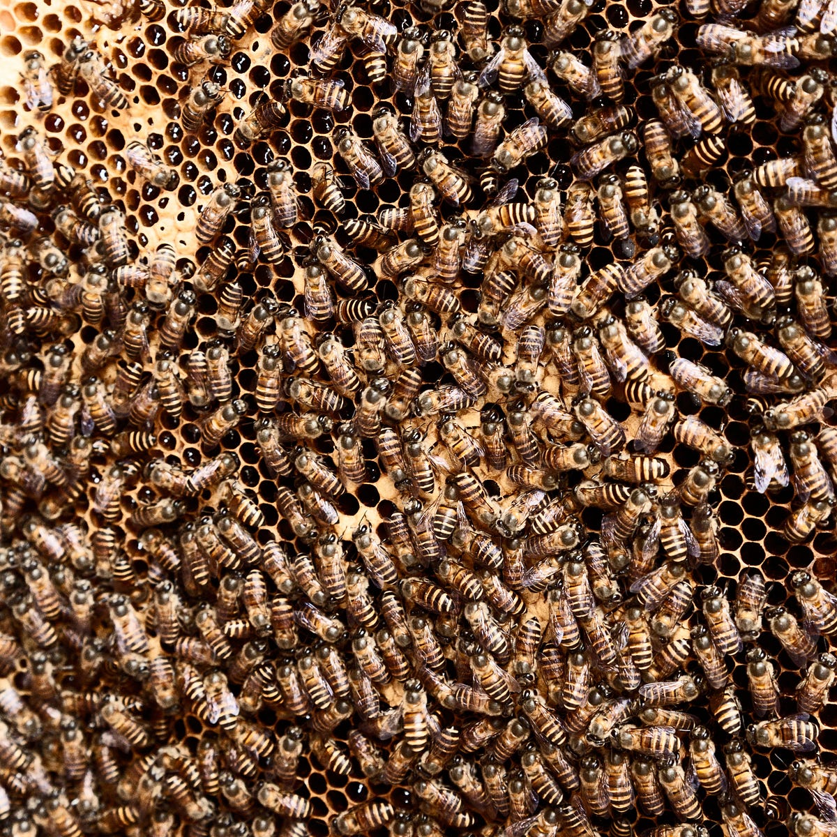 Working with Complex Datatypes in Hive — Arrays, Structs and Maps | by ... Working with Complex Datatypes in Hive — Arrays, Structs and Maps | by ...