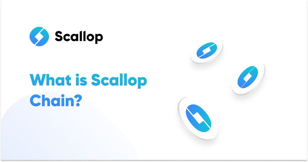 SCALLOP CHAIN. Scallop Chain is the world’s first… | by Cujo | Medium