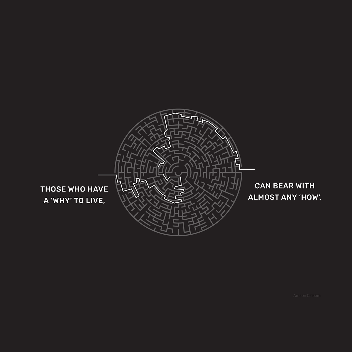 Man’s Search For Meaning by Viktor Frankl (Visual Summary of Key Ideas) | by Ameen | envision ...