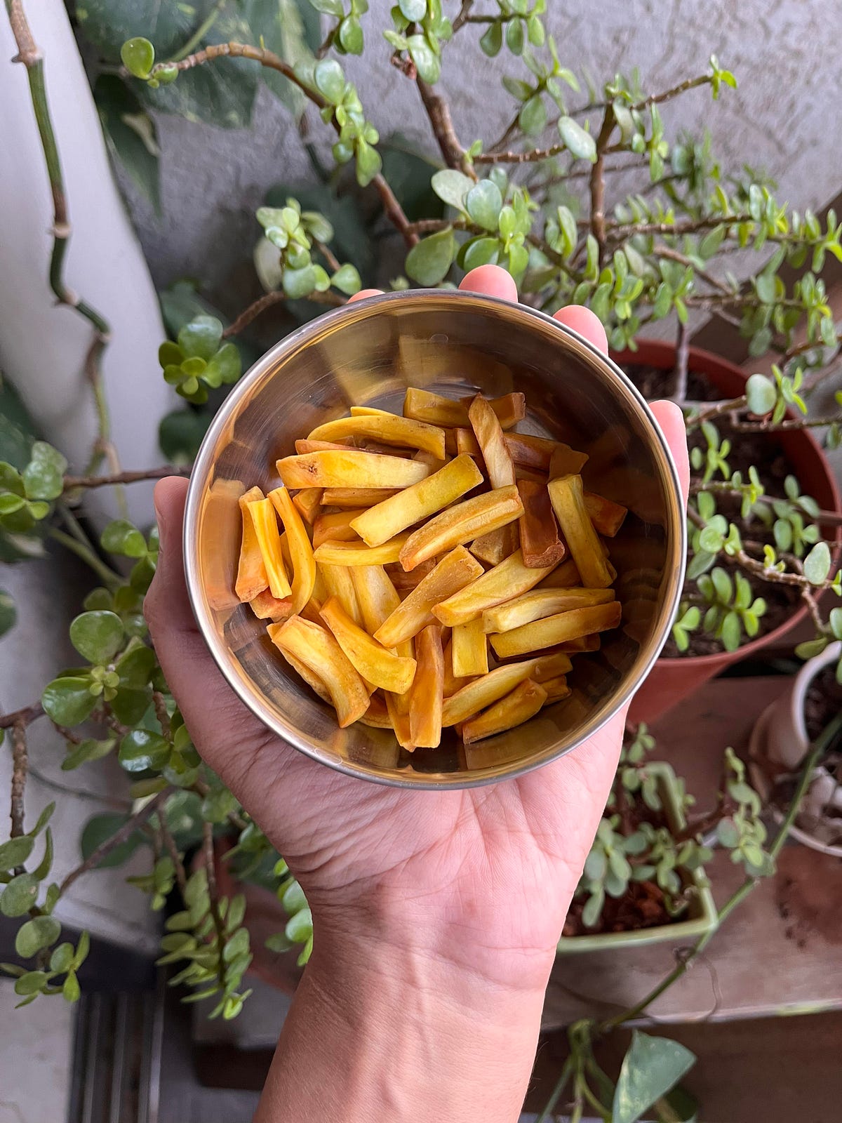 Exquisite Essence: Homemade Jackfruit Chips Adventure | Tocco | by ...