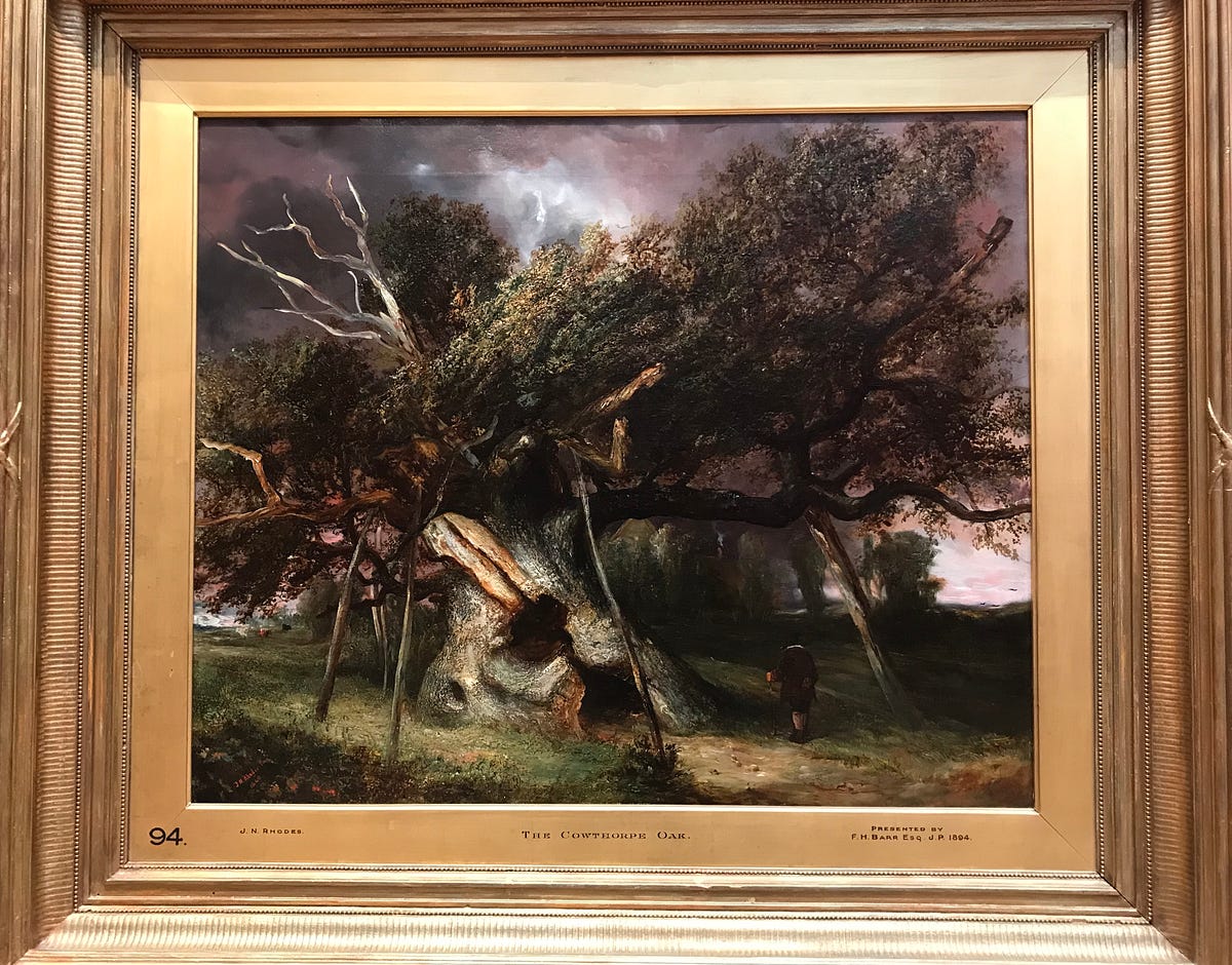 Of Oaks & Men: the British Affinity with the Humble Oak | by Pratibha ...