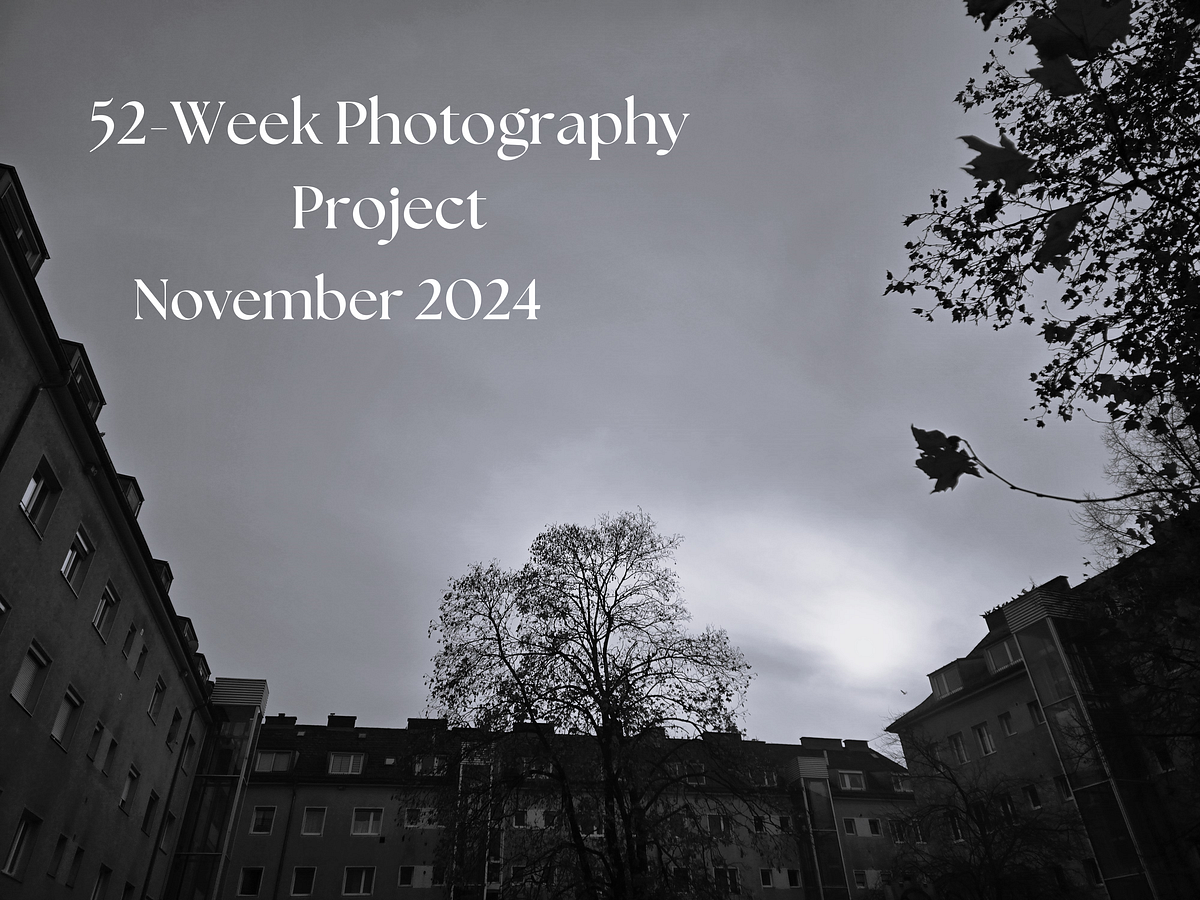 52 Weeks Photography Project. November 2024 Edition | by Christina ...