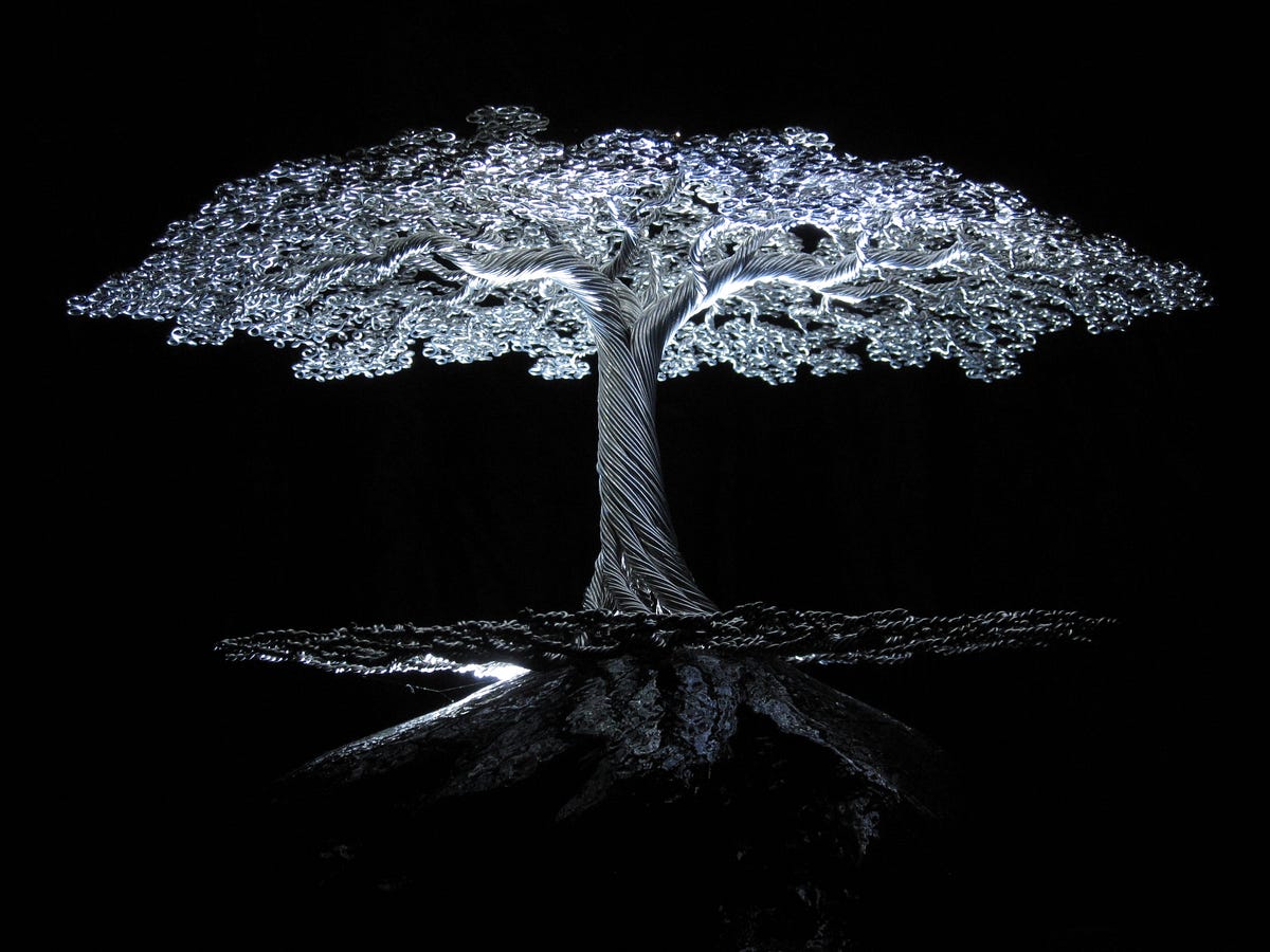 What’s the most POWERFUL force of Nature? | by Luis Borges | Medium
