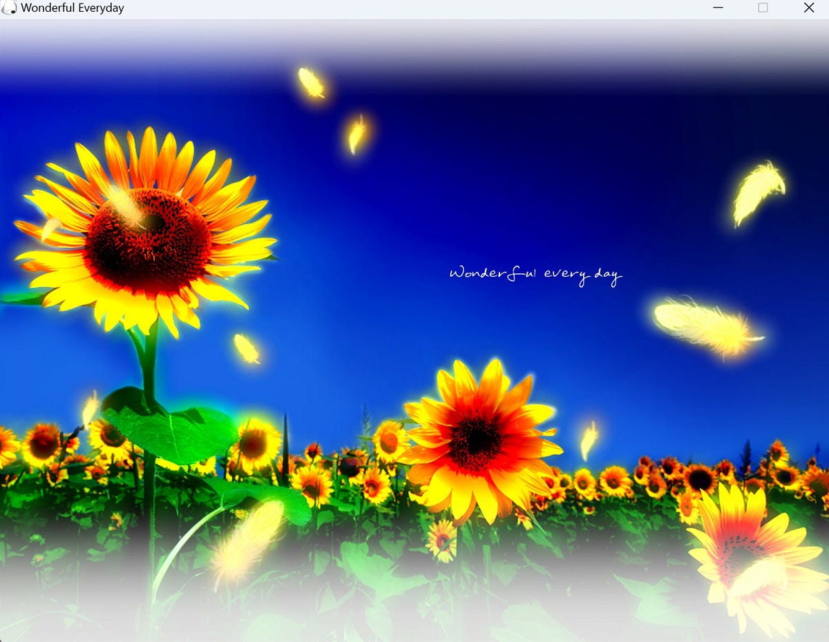 Wonderful Everyday | by barbascringe | Aug, 2024 | Medium