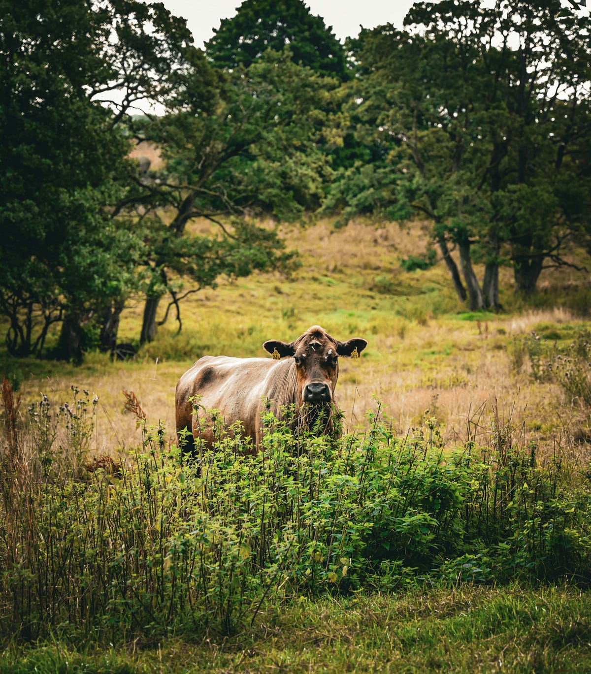 New Year, Same Old You. Back away from the resolution Back away… | by ...