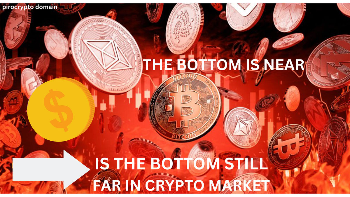 THE BOTTOM IS STILL FAR IN THE CRYPTO MARKET | by Mr. Piro Osazee | Medium