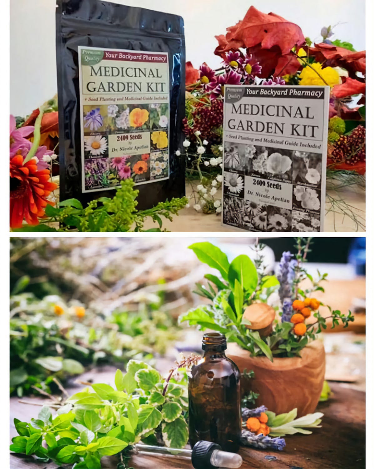 Medicinal Garden Kit. In an era where reconnecting with… | by review ...