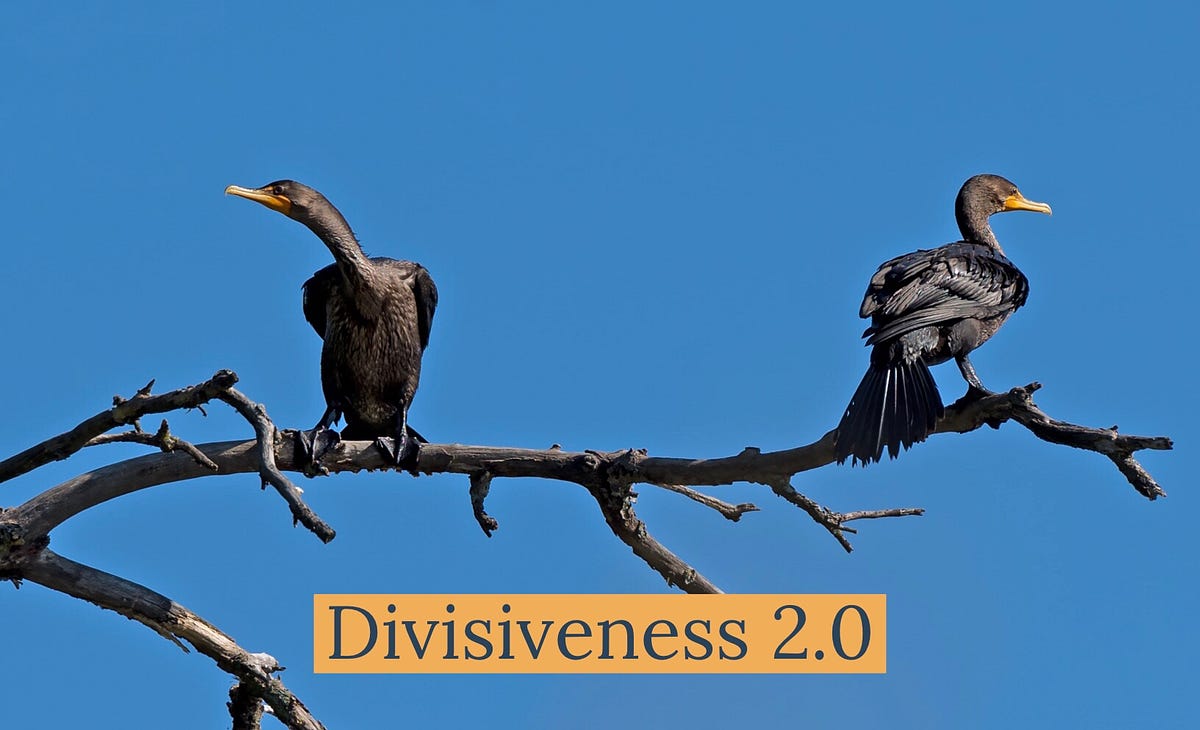 Divisiveness 2.0. In 2019 the air reeks of divisiveness… | by Shui ...