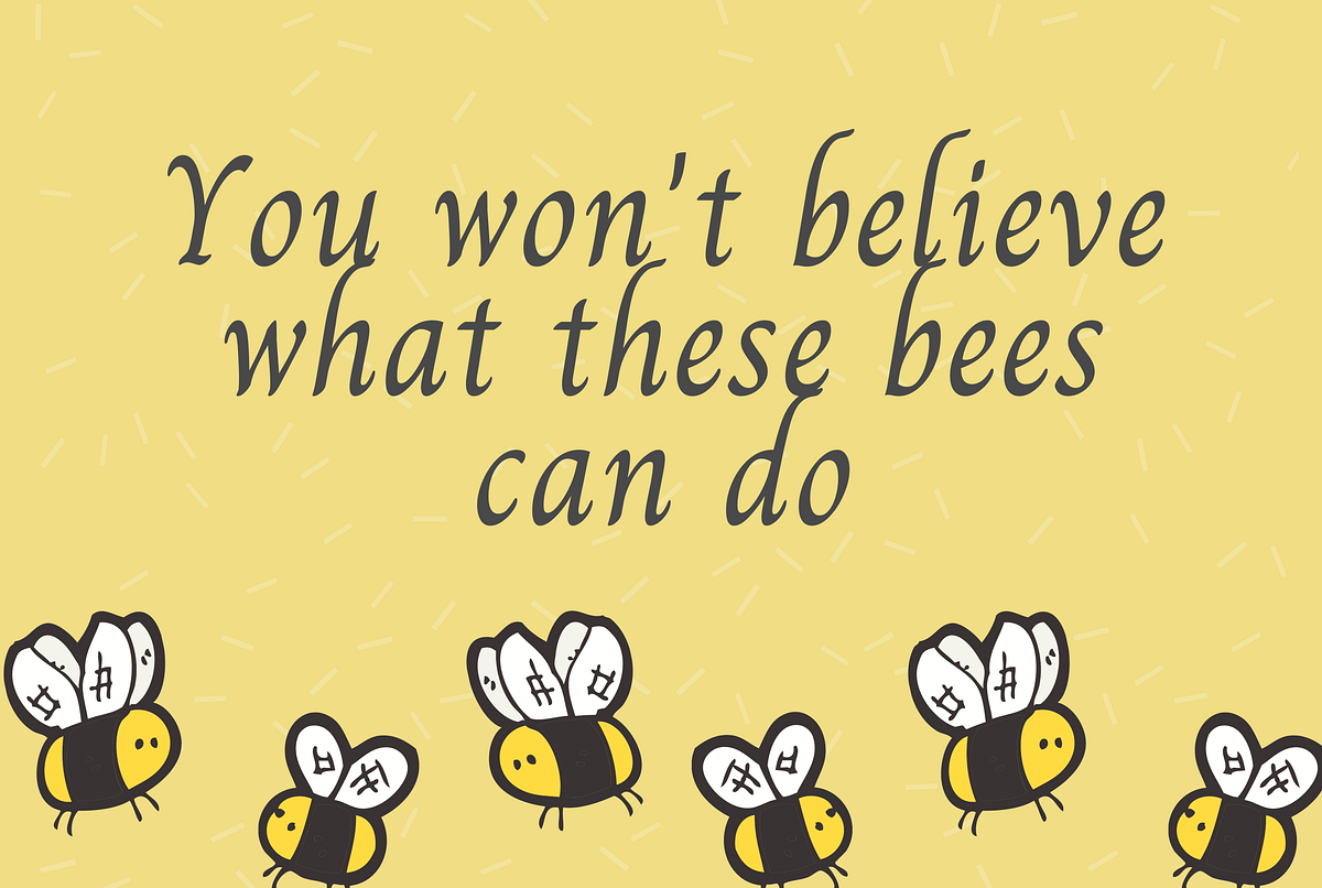 Think you’re good at math? These bees will put you to shame | by AKHIL ...