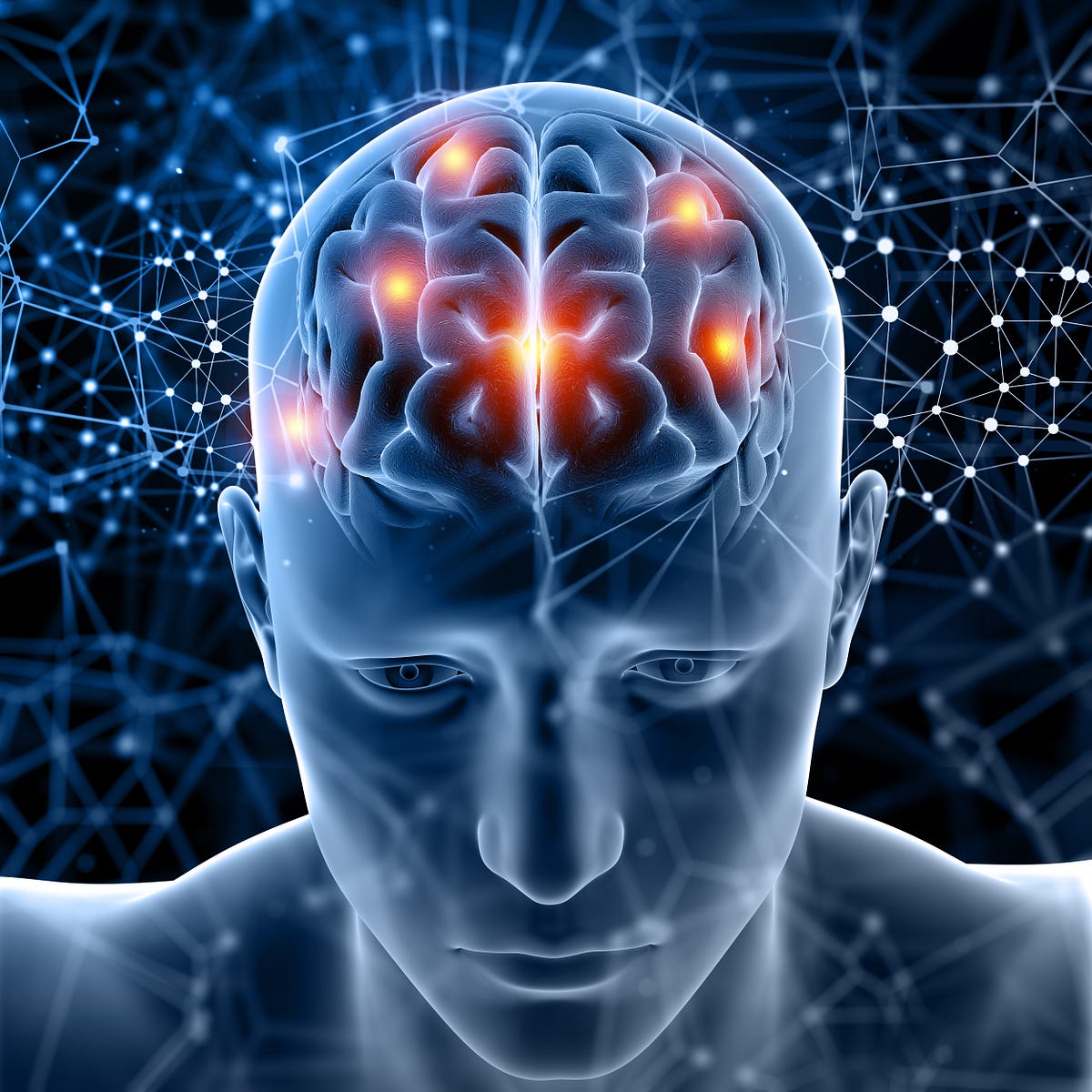 Exploring The Fascinating World Of Neurons The Building Blocks Of The Exploring The Fascinating World Of Neurons The Building Blocks Of The