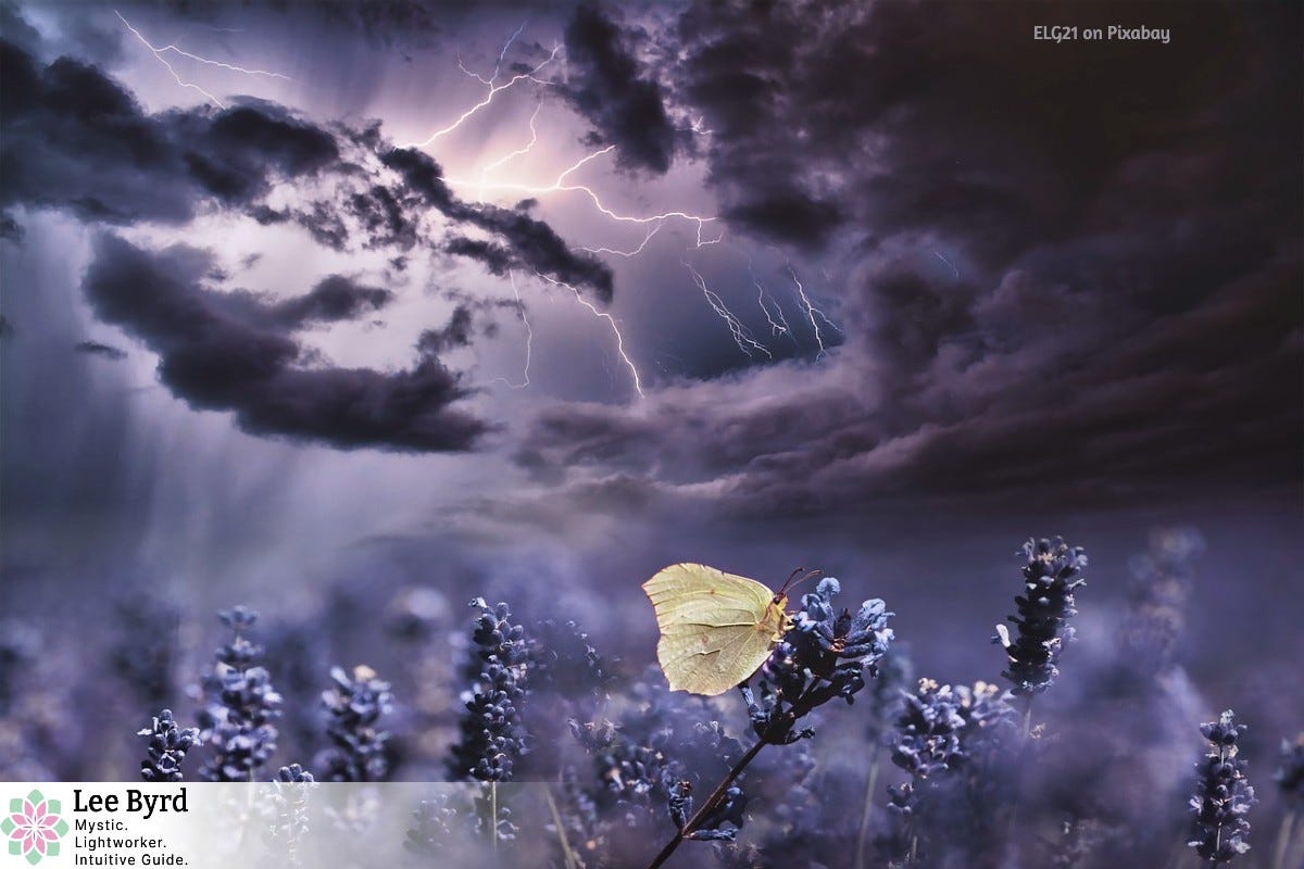 The Storm and the Butterfly. Why is self-care important? | by Lee Byrd ...