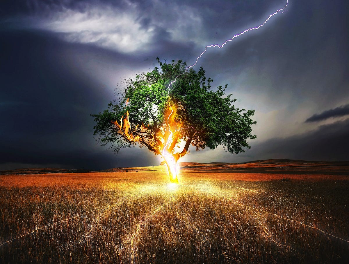 Building A Neural Network On Amazon Sagemaker With Pytorch Lightning