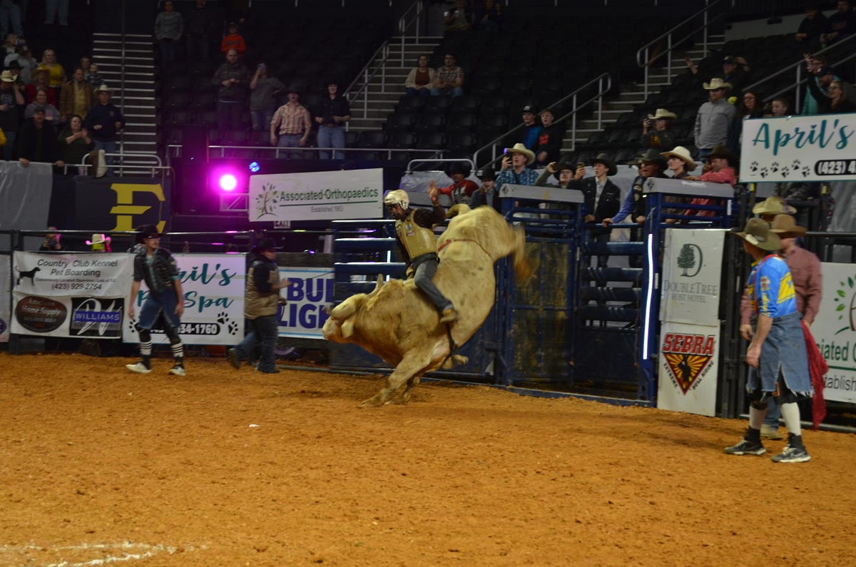 Bulls, Bones, and Breakthroughs:. The Unforgettable Thrills of Super ...
