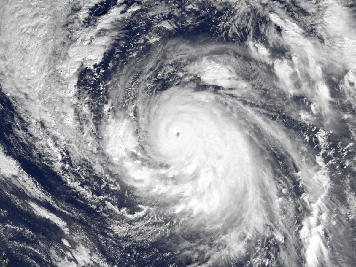 The Largest and Most Powerful Tropical Cyclone On Record | by Grant ...
